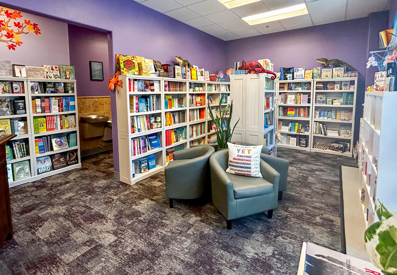 Bright Child Books – Bright Child Books LLC